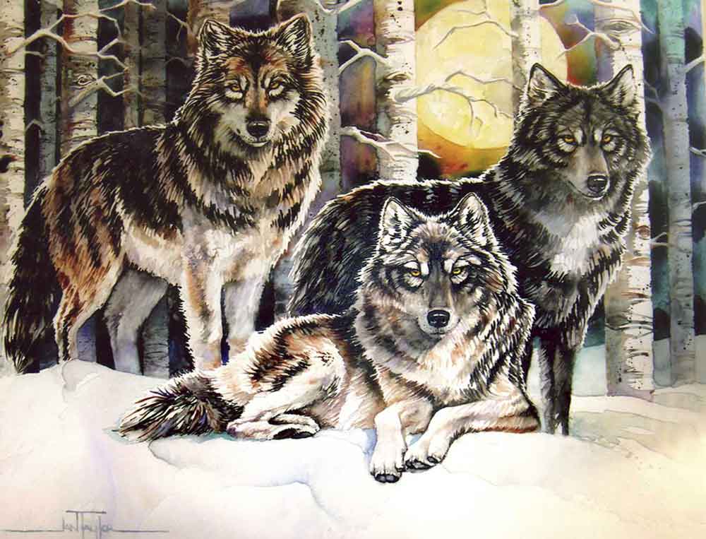 3 Wolves by Jan Taylor Ceramic Accent & Decor Tile JTA015AT: Artwork On ...